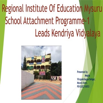School observation Report practical file | PDF