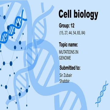 Presentation 11 .pdf