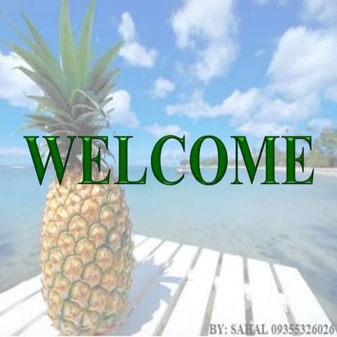 PINEAPPLE MULTITRADE | PPT