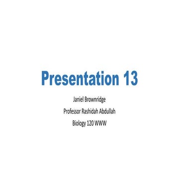 Presentation 13 | PPT