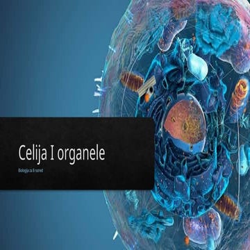 L136 - Biologija - Ćelijske organele - Jelena Stojanović - Barbara ...