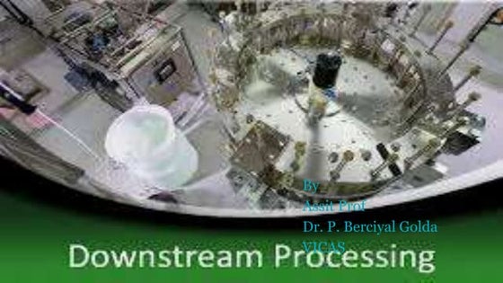Downstream processing | PPTX