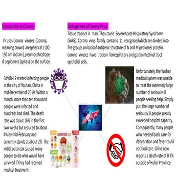 Presentation 19.pptx