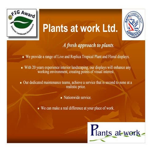 Plants at Work, Office Landscaping, tropical plants, replica plants | PDF