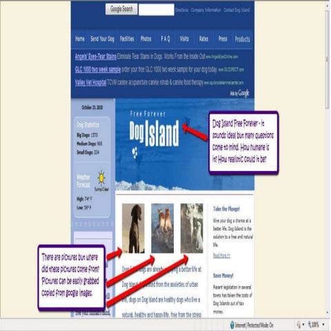 Presentation1 dog island | PPT