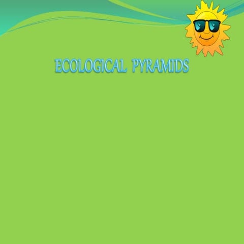 Ecological pyramids ppt | PPTX