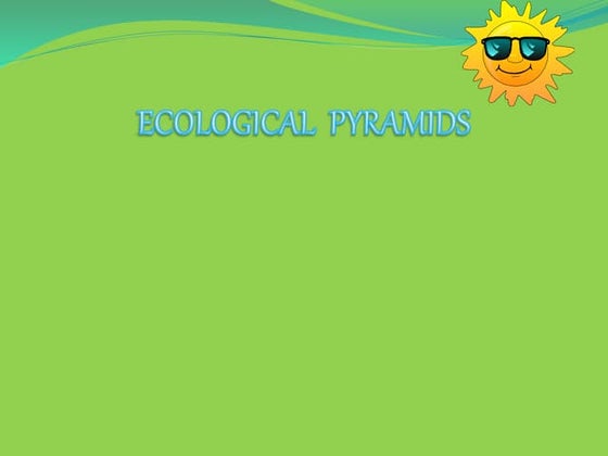 Ecological Pyramids, Food Chain and Food Web | PPT