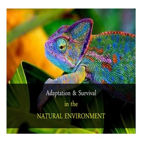 Presentation1 enbe | PPT