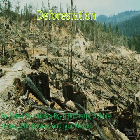 Presentation1 english deforestation | PPTX