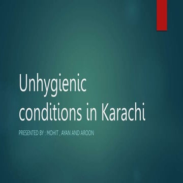 Essay on Problems of Karachi City.pdf