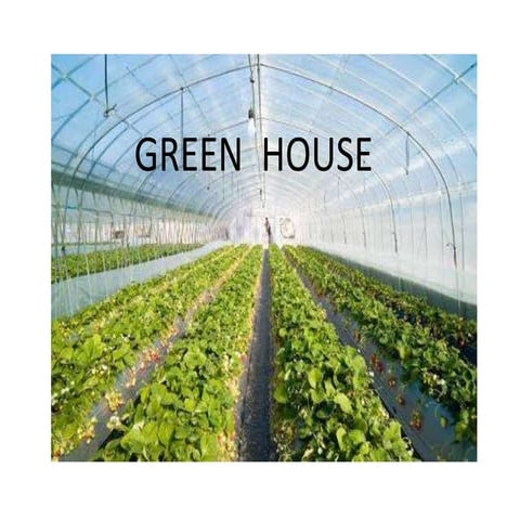 Green house botany | PPTX