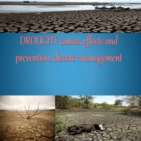 Disaster Management(Drought) | PPTX