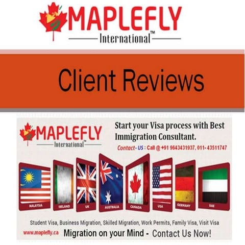 Maple Fly International | PPTX