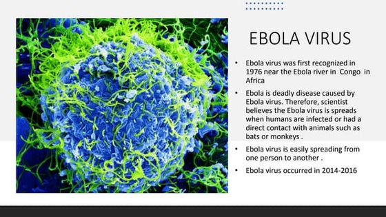Ebola | PPT | Infectious Diseases | Diseases and Conditions
