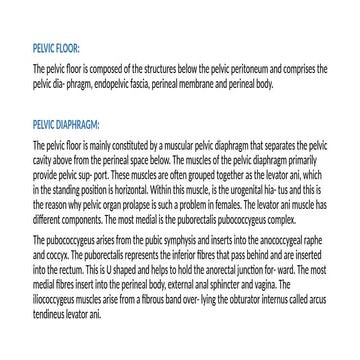 The pelvic floor is composed of the structures below the pelvic ...