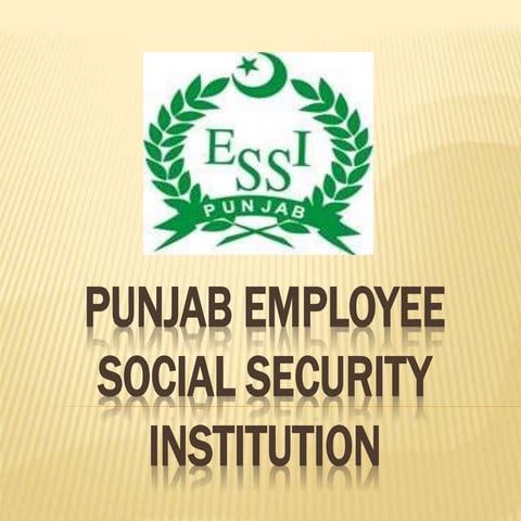 Presentation1 pessi | PPTX