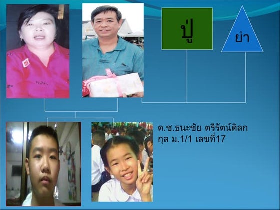 Presentation1 recovered | PPT