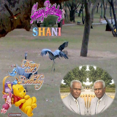 Presentation1 shani | PPT