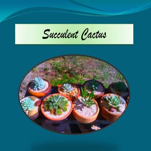 Presentation1 succulent cactus | PPT