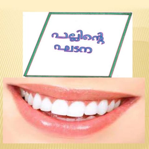 teetch power point | PPTX | Oral care | Personal Care