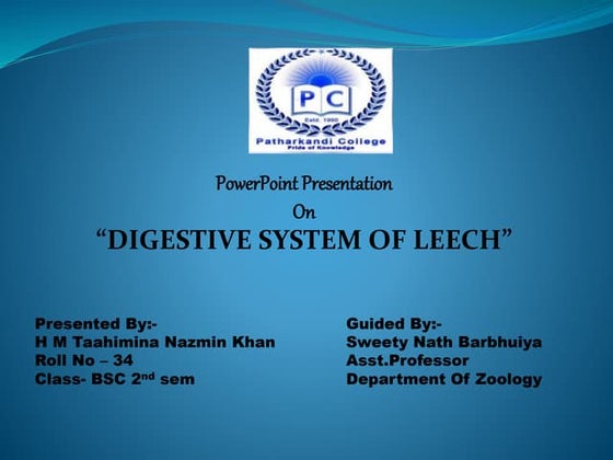 Hirudinaria - ppt -indian cattle leech,, | PPTX | Biological Sciences ...