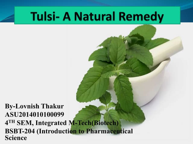 Tulsi ppt | PPTX