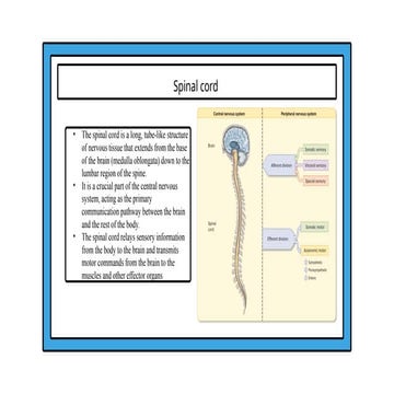 Presentation1 Upload Pptx Pptx