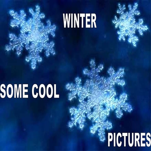 cool winter pictures | PPS