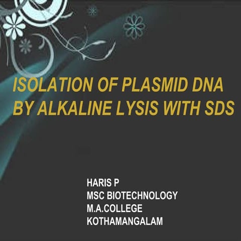 plasmid isolation.HARIS | PPT