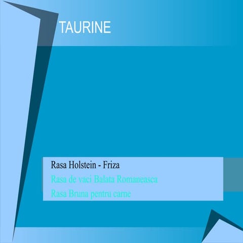 Taurine | PPT