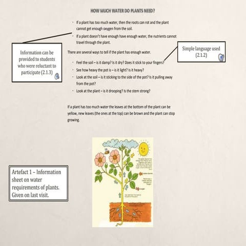 Lesson Plan 1 Plant Growth | PDF