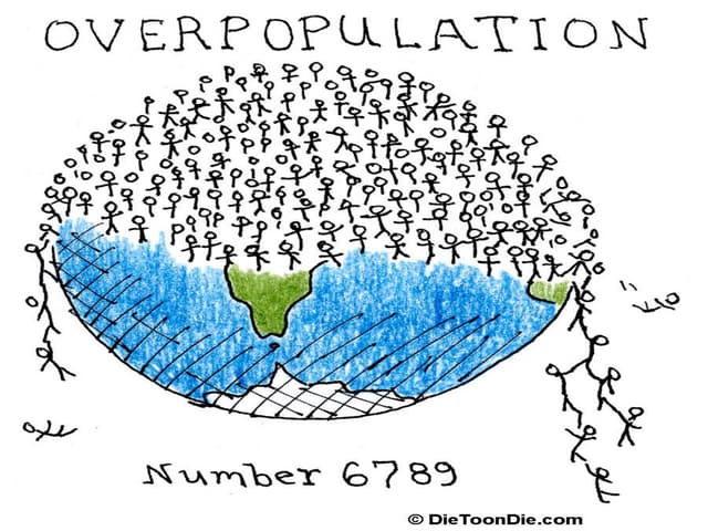 Overpopulation presentation 1 | PPTX