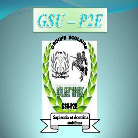 GSU-P2E | PPT | Free Download
