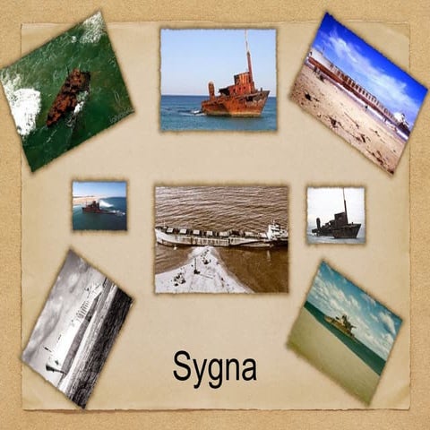 Lily's Project on the Sygna | PPT