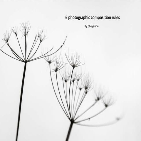 photographic composition rules | PPTX