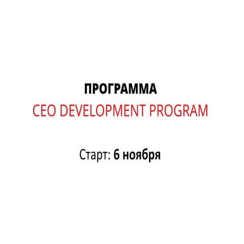 CEO DEVELOPMENT PROGRAM | PPT