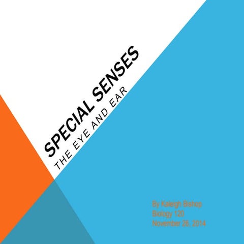Special Senses: The Eye and Ear | PPTX