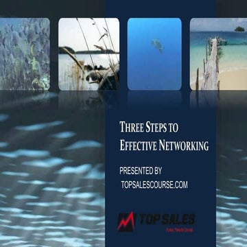 Networking in Sales: 3 Steps to Effective Networking | PPTX