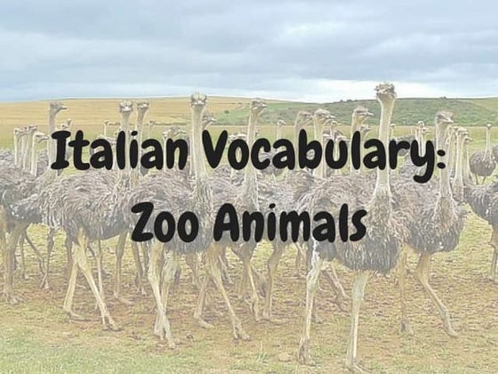 Italian Vocabulary Words: Farm Animals | PPT