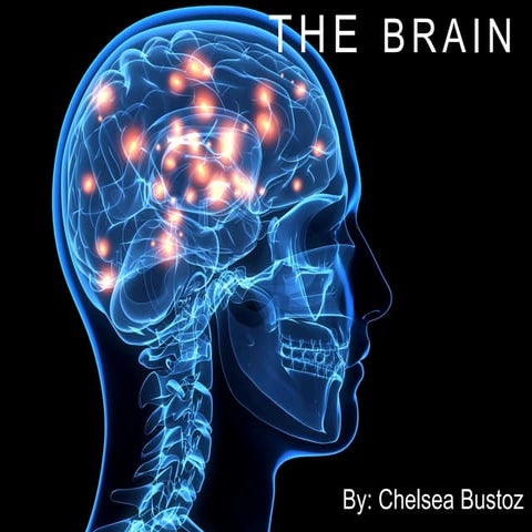 QUARTER 2-PERSONAL DEVELOPMENT-MODULE 11.pptx