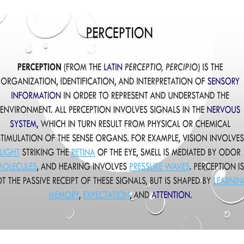 Perception | PDF
