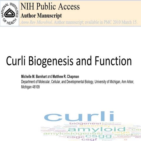 Introduction curli-functional amyloid in E. Coli | PPTX