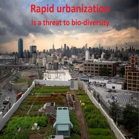 Rapid urbanization is a threat to bio-diversity | PPTX
