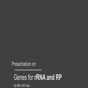 rRNA genes and Ribosomal protein genes | PPT