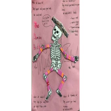 Human Body Project | PPT