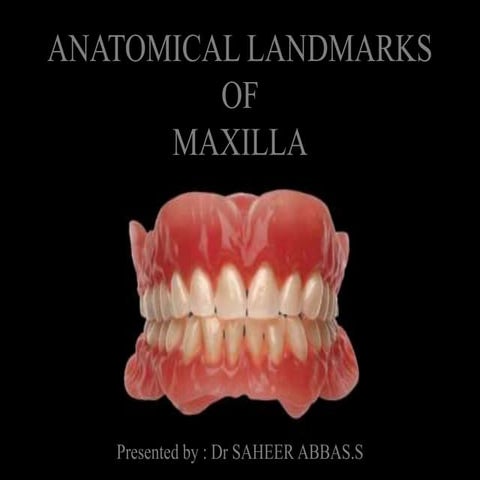 ANATOMICAL LANDMARKS OF MAXILLA | PPTX