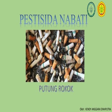 Manfaat Rokok? | PPTX
