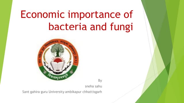 Cockroach Class 11th NEET CBSE NCERT Biology | PDF