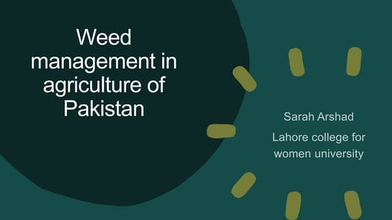 Critical appreciation of poem "The wind begun to rock the grass" by ...