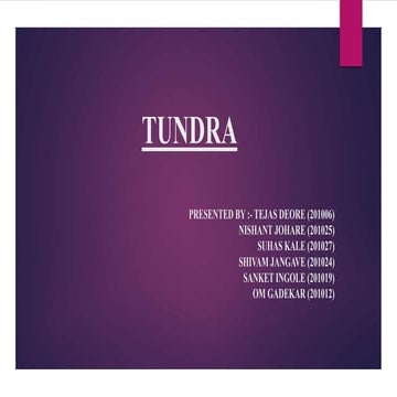 Tundra | PPTX